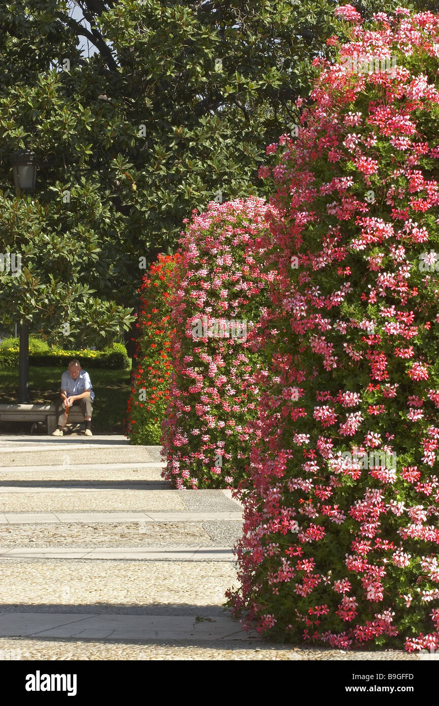 Sterns trip hi-res stock photography and images - Alamy