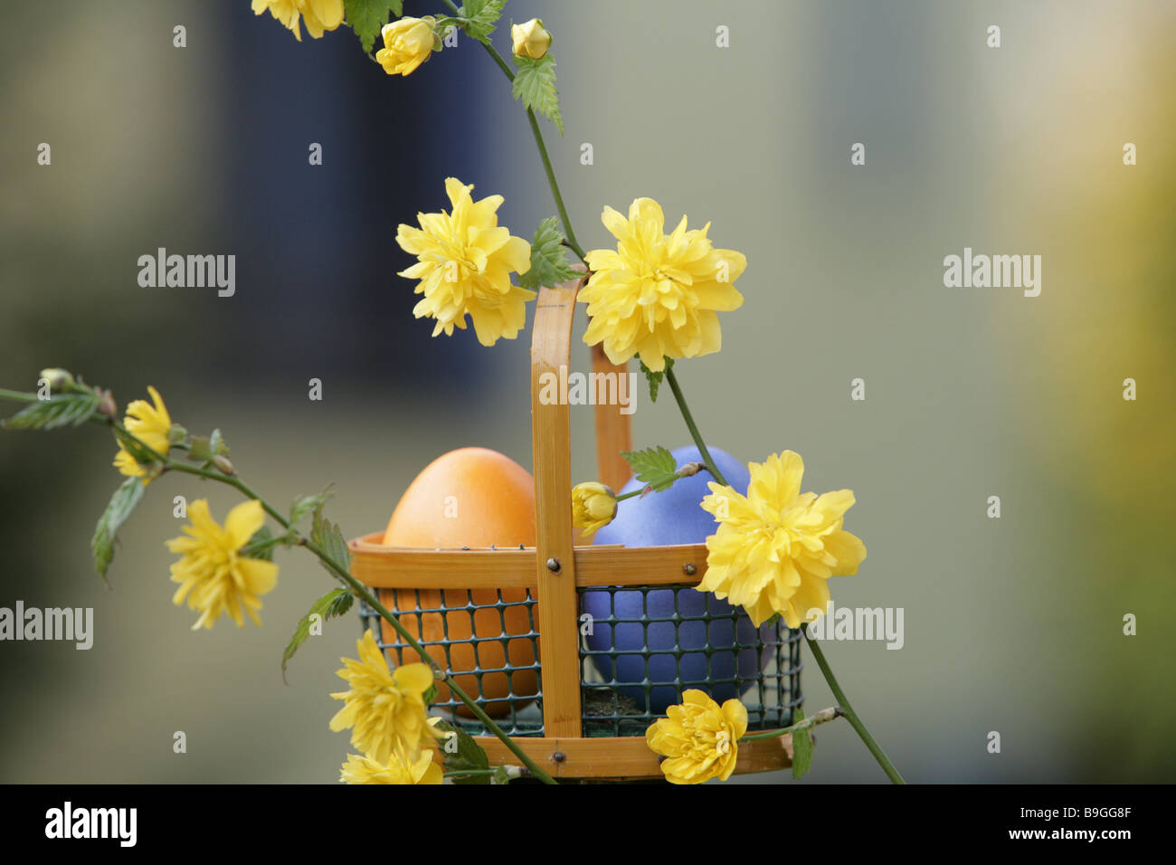 Easter shrub branches hangs little basket Easter eggs Easter Eastertime ...