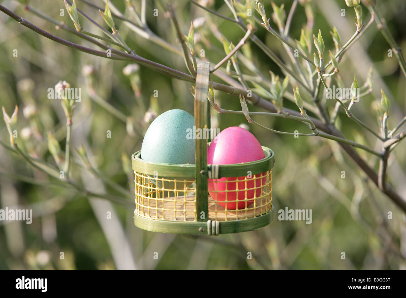 Easter shrub branches little basket Easter eggs hangs Easter Eastertime ...