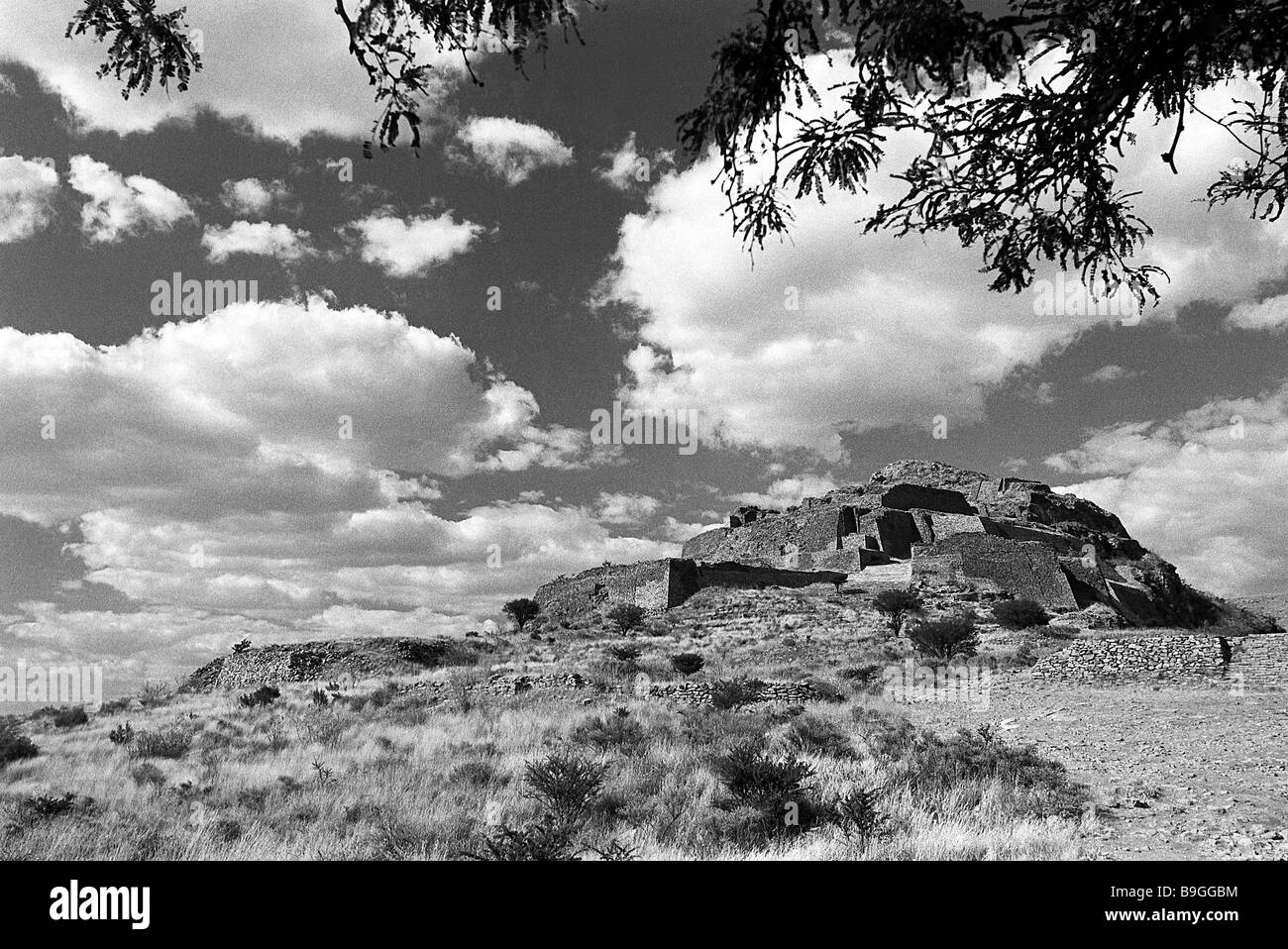 La Quemada (also known as Chicomostoc) ruins. Zacatecas, Mexico Stock ...