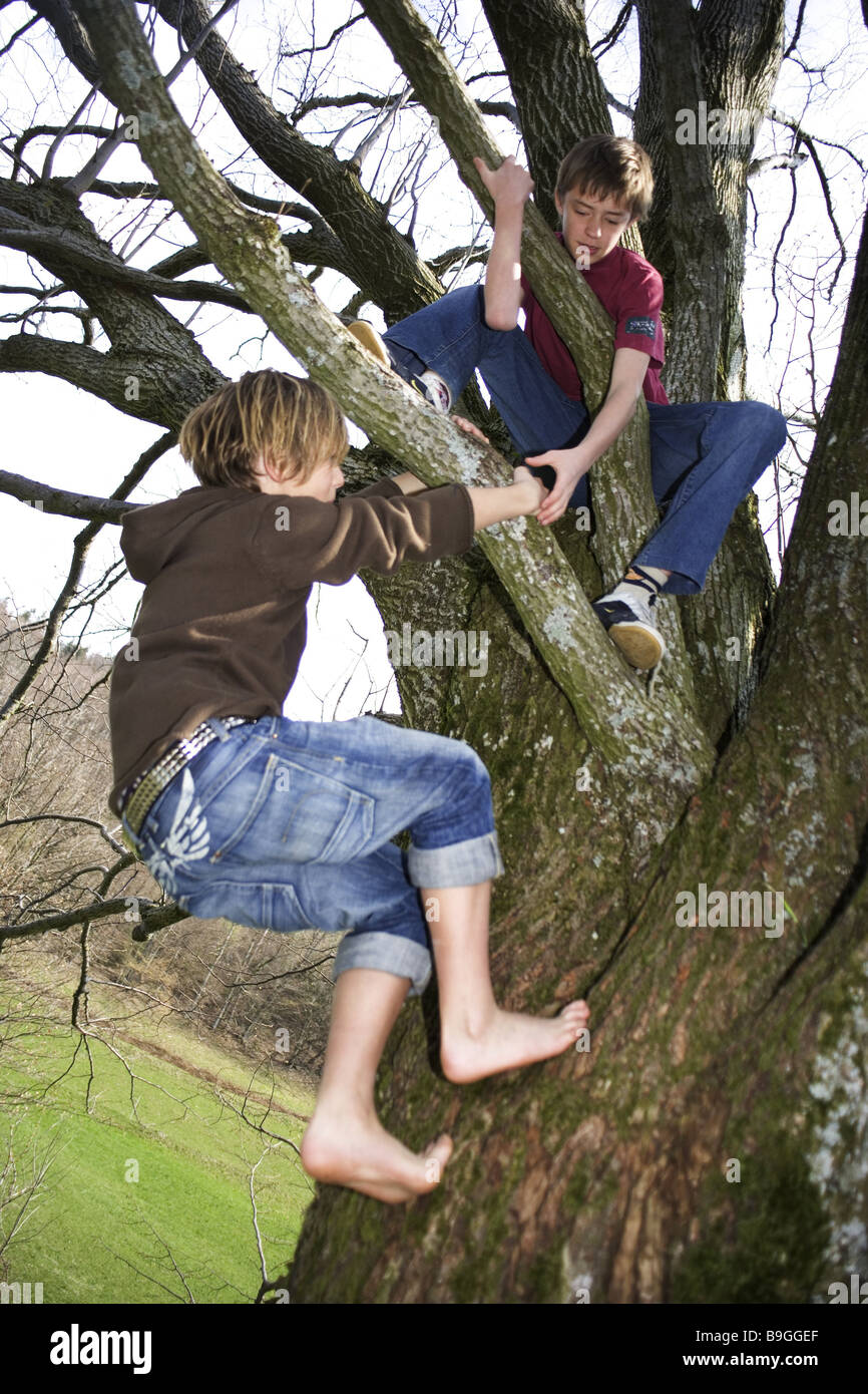 Boy tree branches climbs series people children childhood leisure time ...