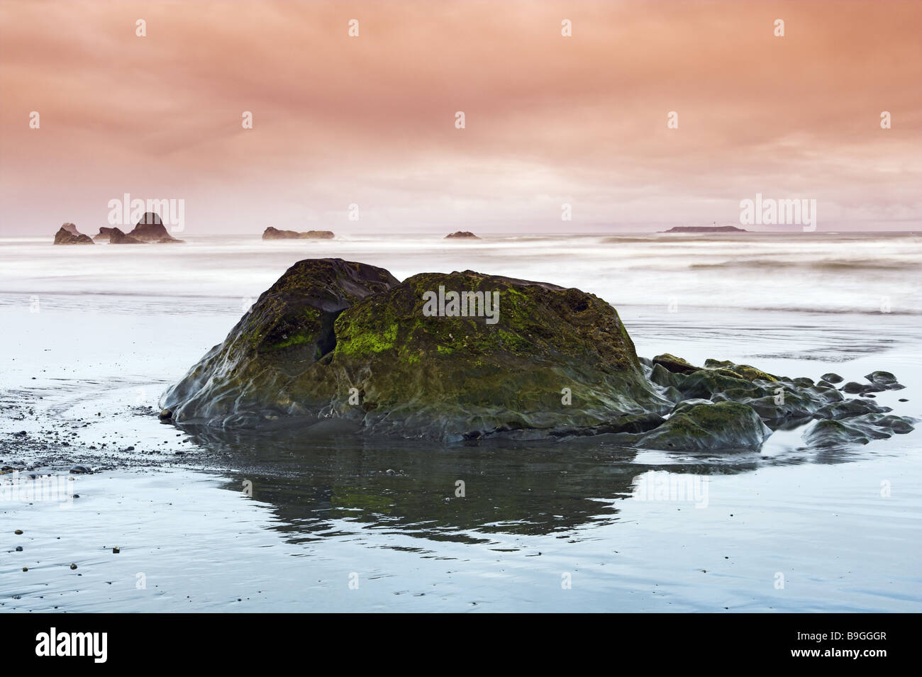 usa Washington Olympic national park Ruby beach rocks America growing ...
