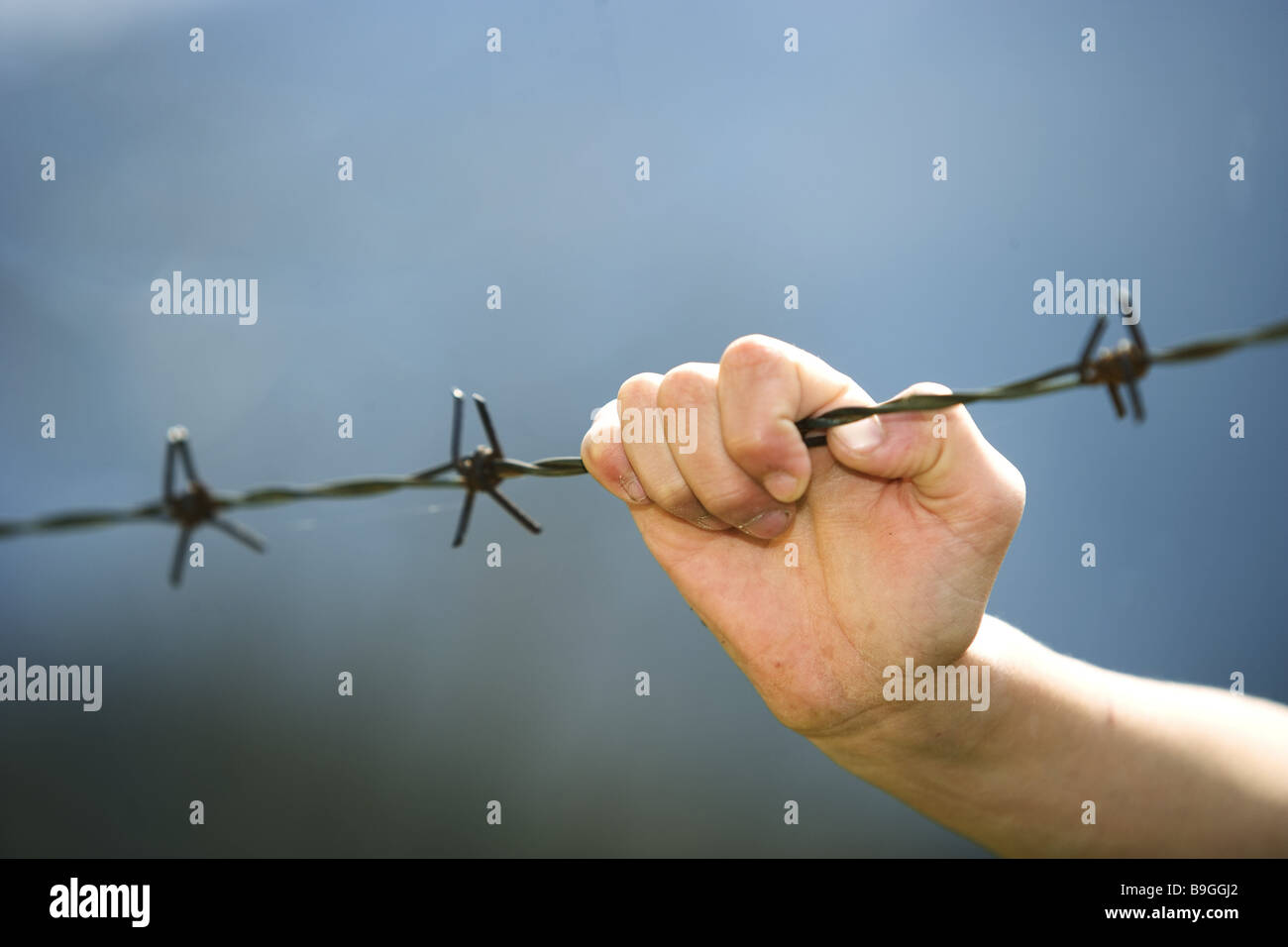Barbed wire hand wire holds on fence barbed wire-fence Eingrenzung ...