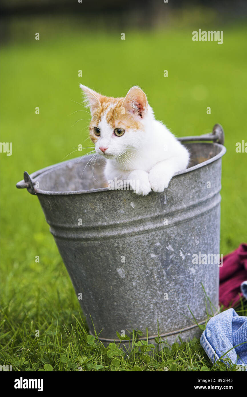 Sheet metal buckets hi-res stock photography and images - Alamy
