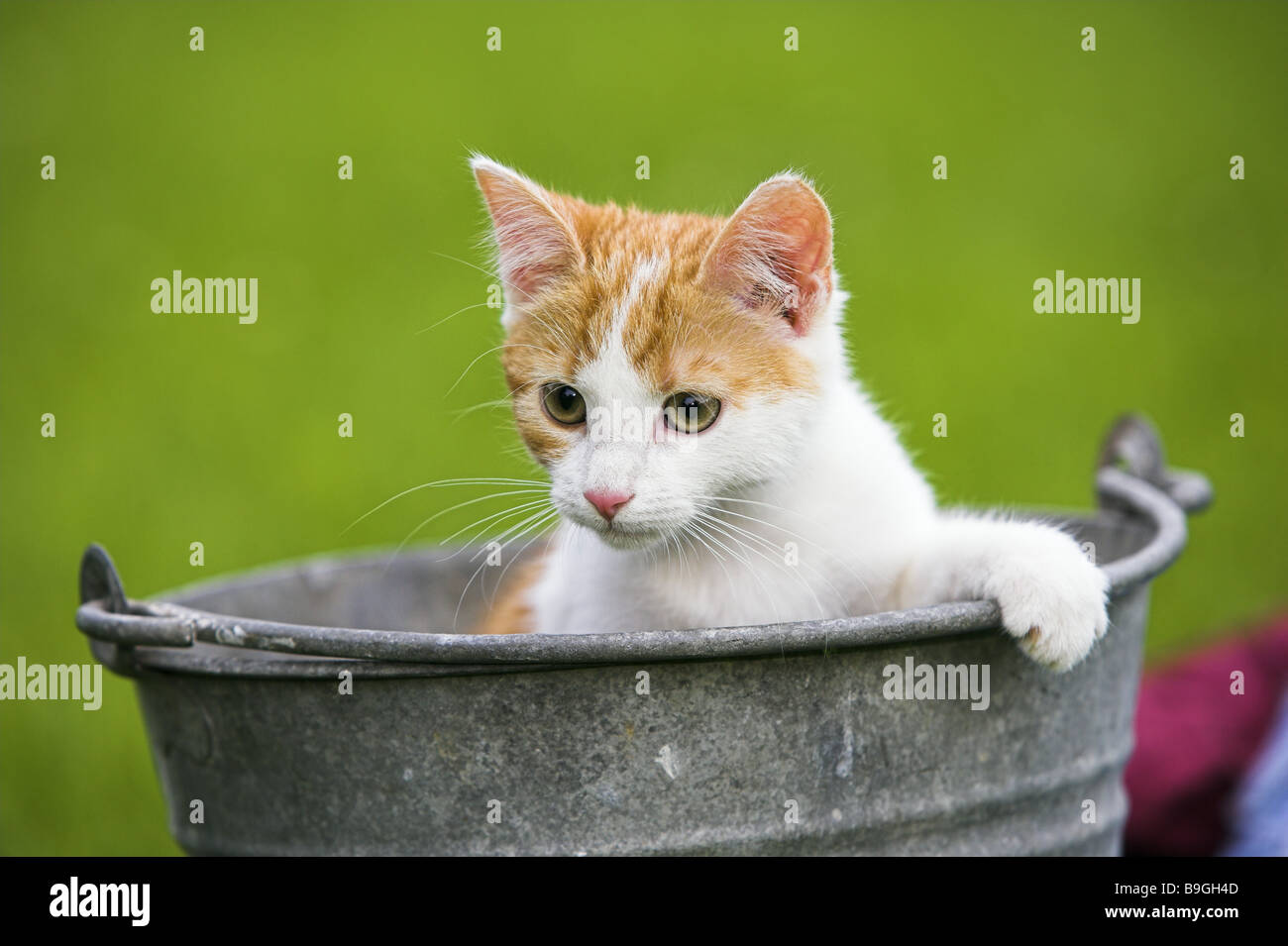 Sheet metal buckets hi-res stock photography and images - Alamy