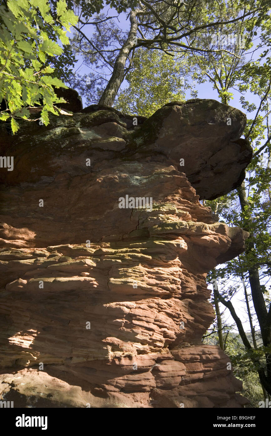 Sandstone-rocks forest Stock Photo - Alamy