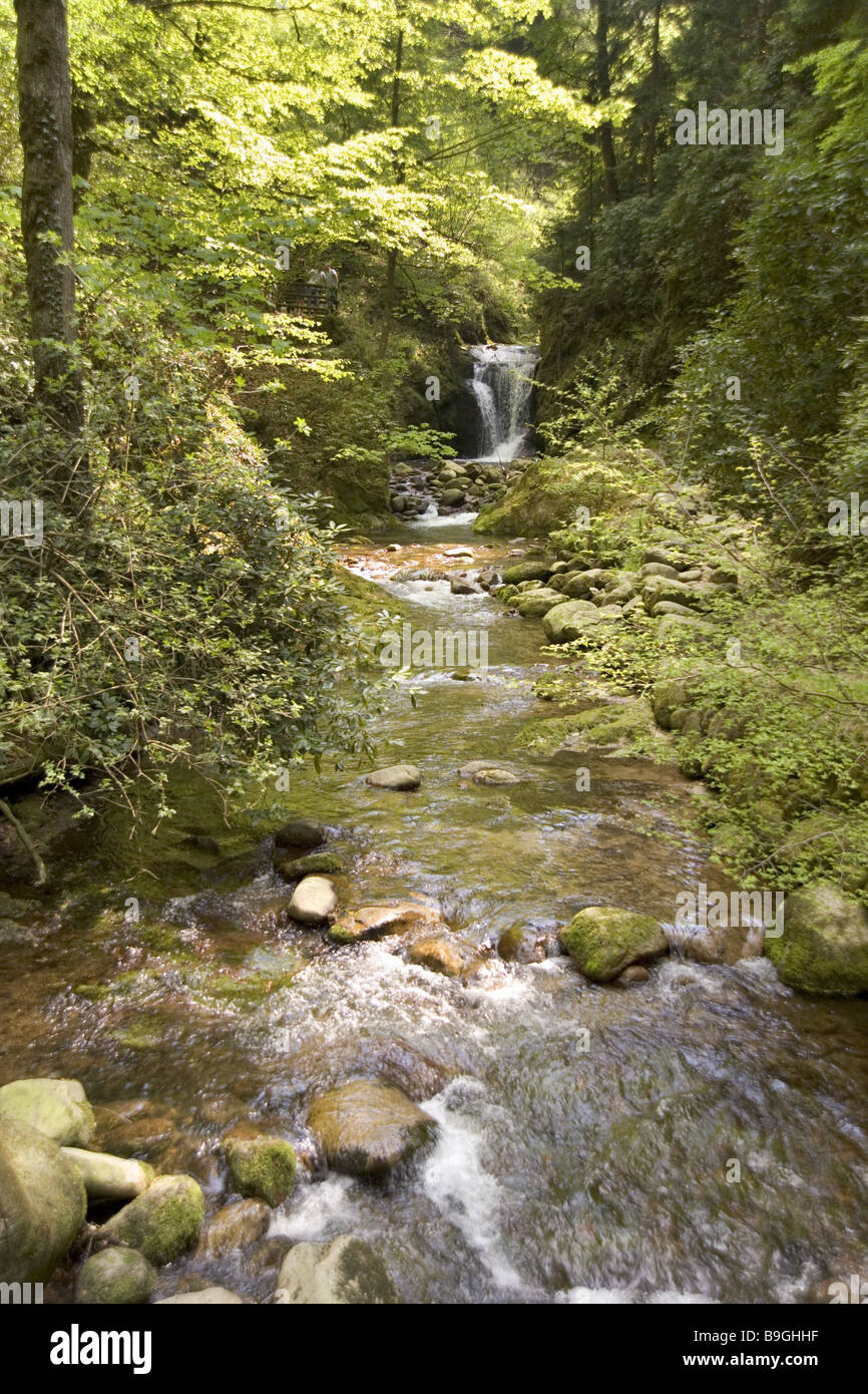 Nature forest brook waterfall Stock Photo - Alamy