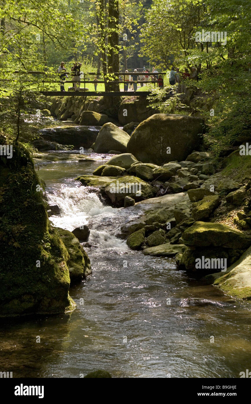 Nature forest brook waterfall Stock Photo - Alamy