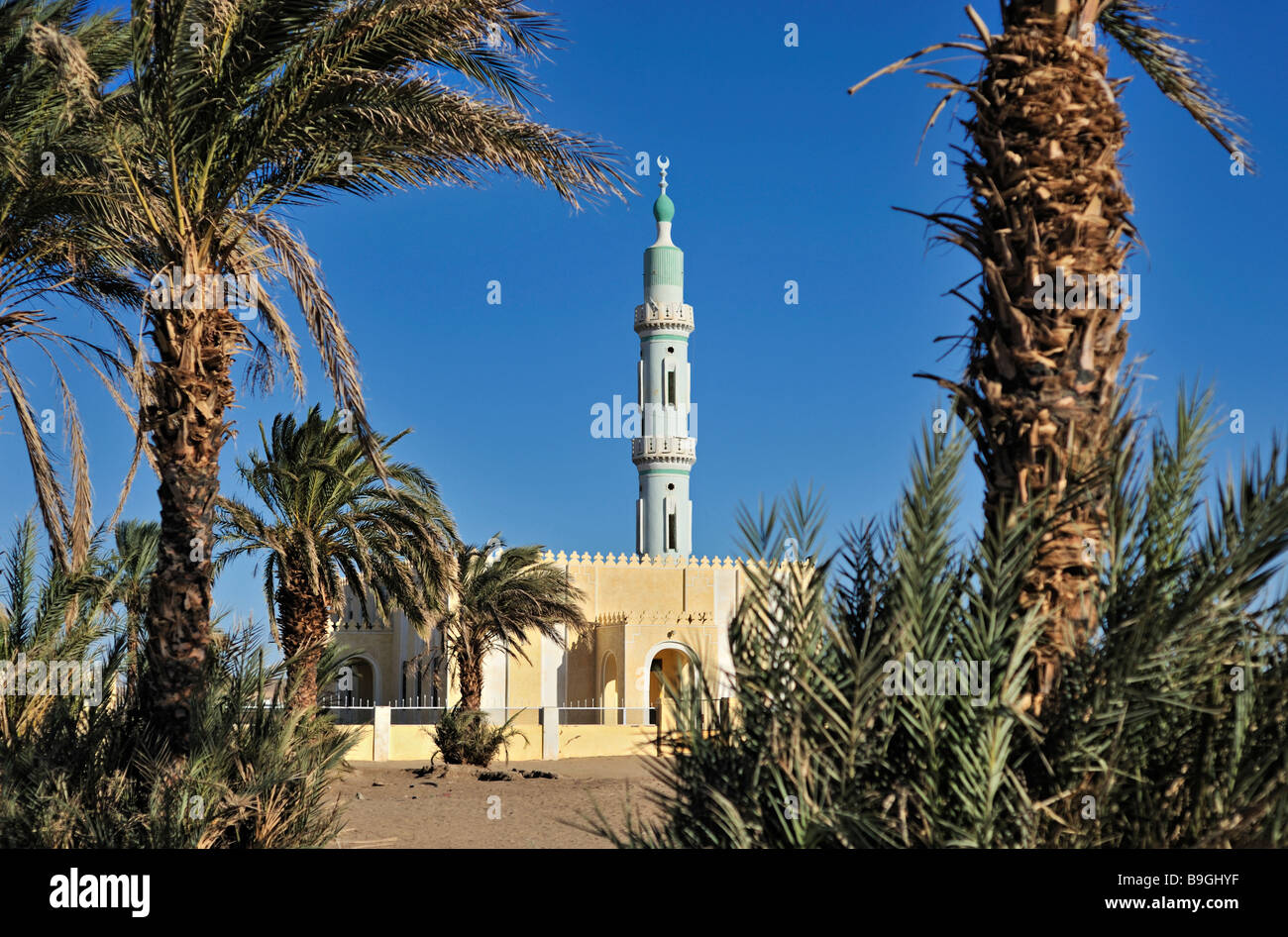 Mosque seen through palm trees in Nubian desert of Northern Sudan, with ...