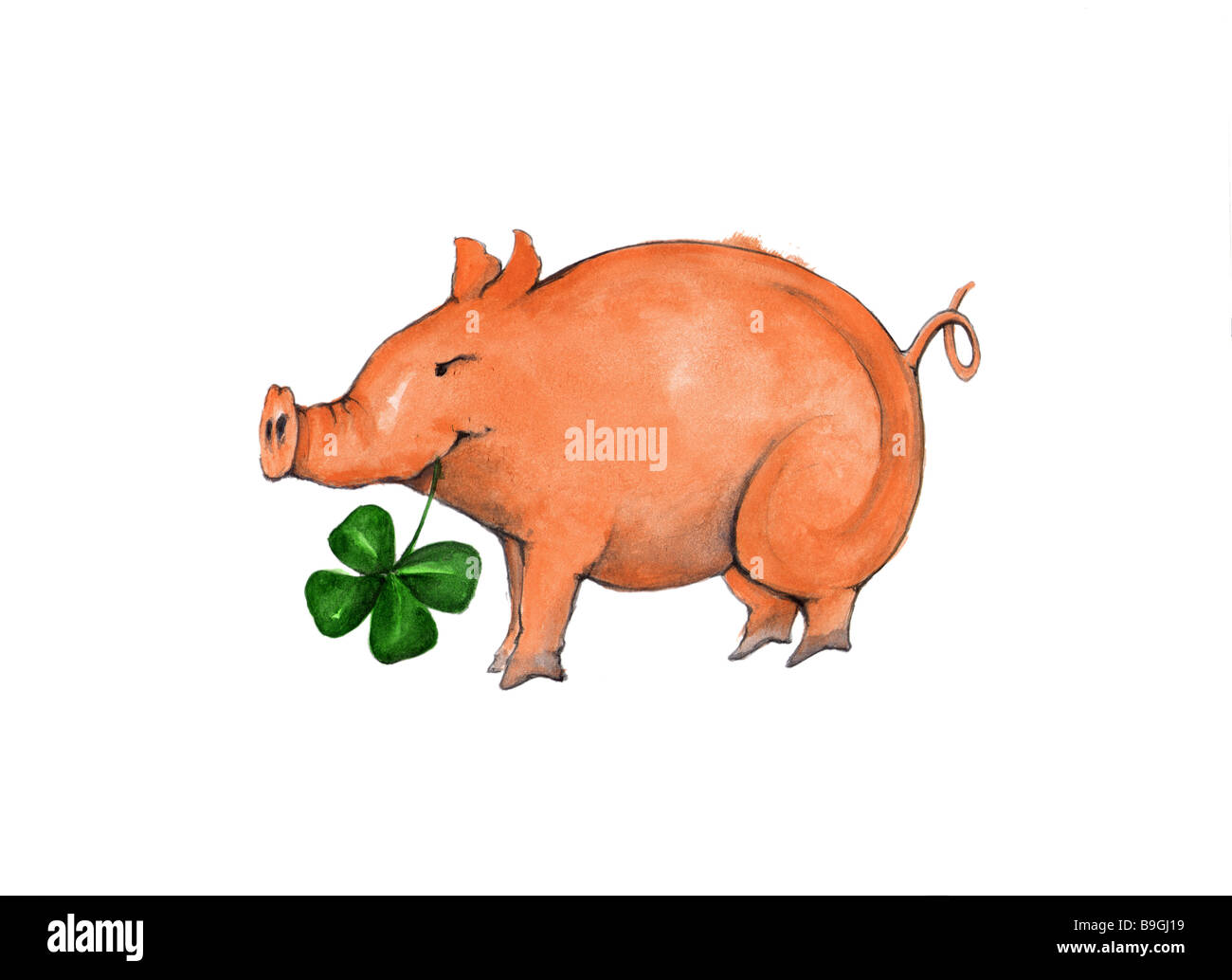 Lucky-pig cut-out illustration Stock Photo - Alamy
