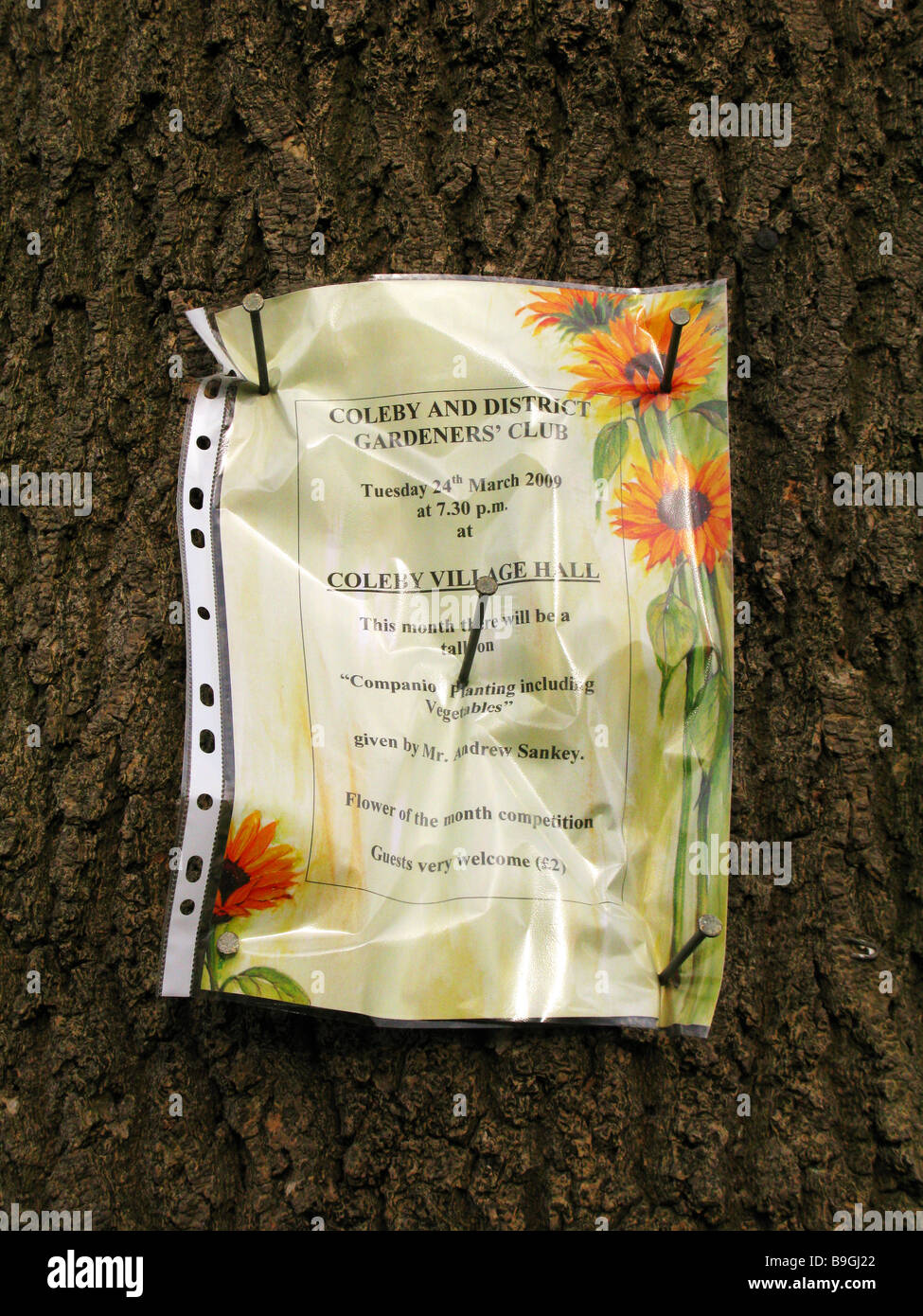 Poster nailed onto a tree hi-res stock photography and images - Alamy