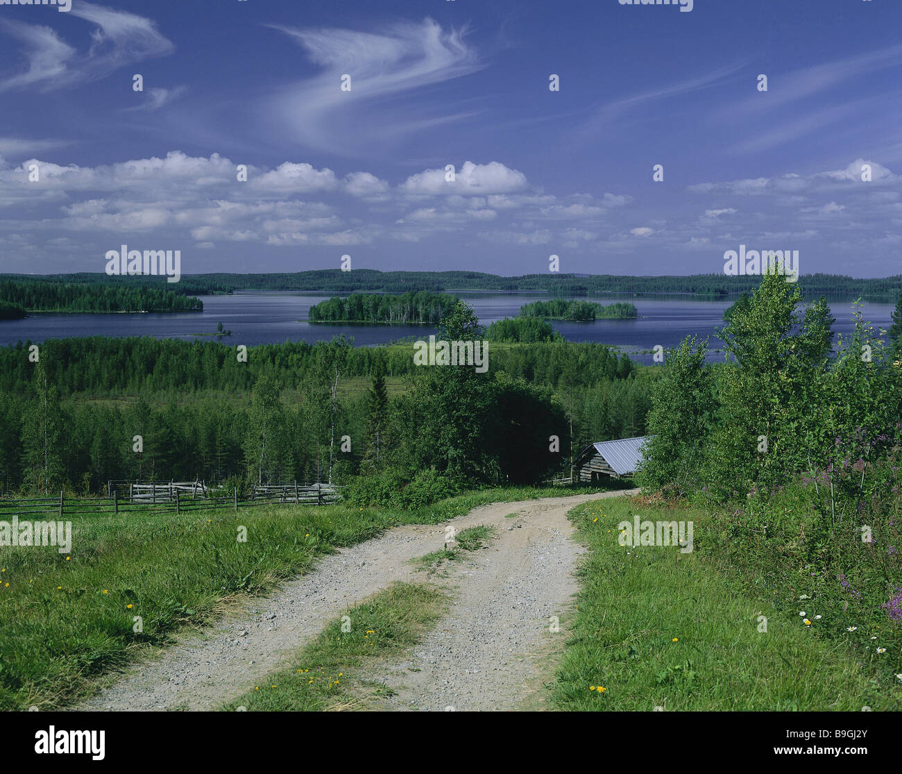 Finland Karelien forest way alm Koiter lake islands clouded sky summer ...