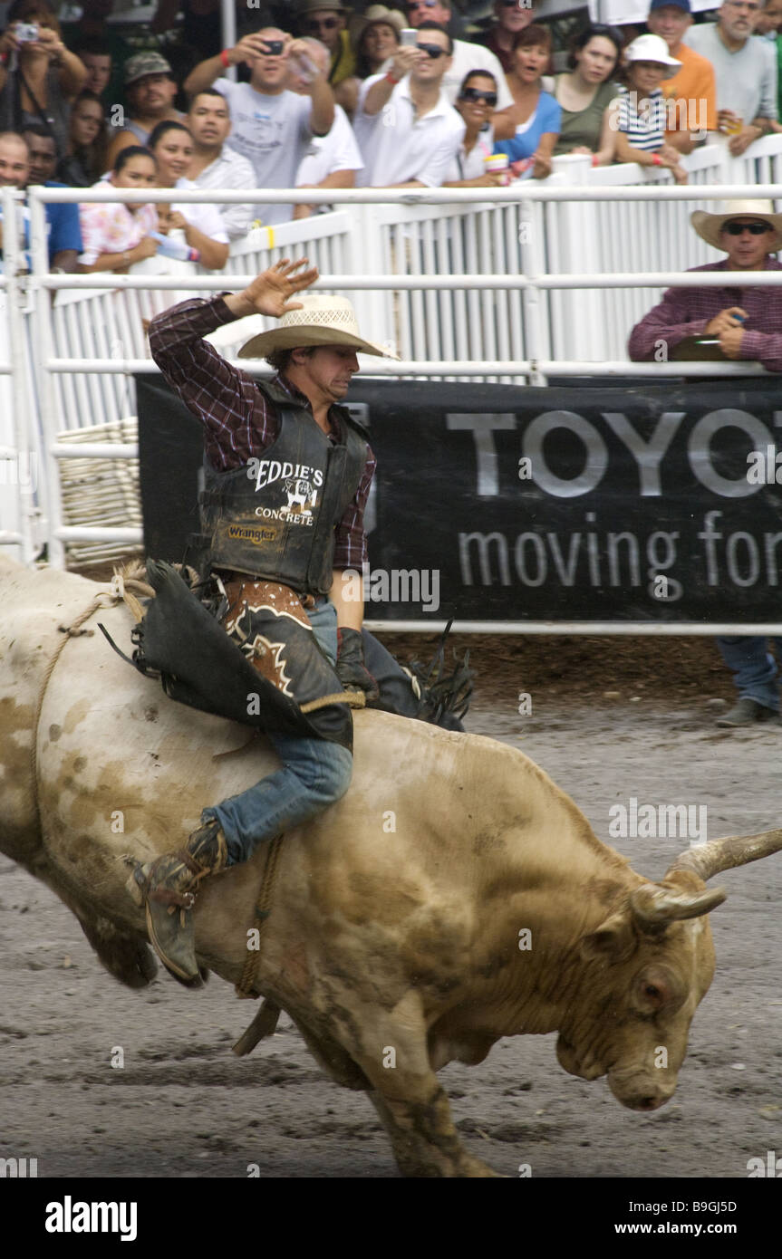 Bull rider hi-res stock photography and images - Alamy