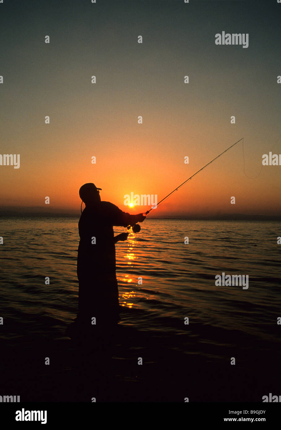 a fly fisherman casts at sunset in Belize Stock Photo - Alamy