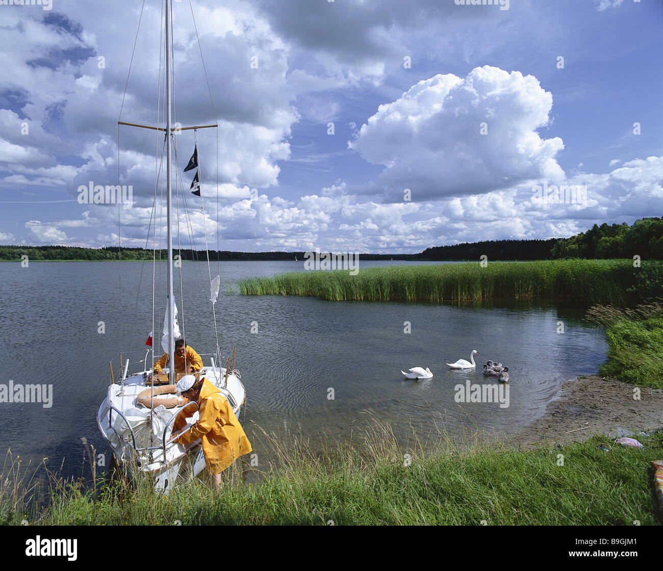 Poland Masuria wall-lake shore sailboat men swan-family wall-lake ...