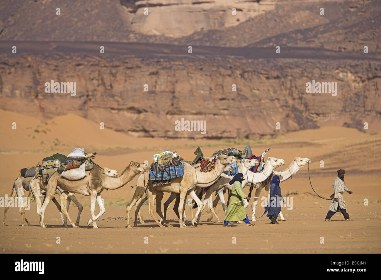 Africa Libya Jabal Akakus Tuaregs camels desert-hike Africa Akakus ...