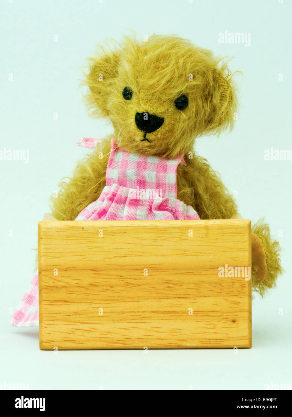 Miniature teddy bear hiding behind a table (Mini Bear Collection Stock ...
