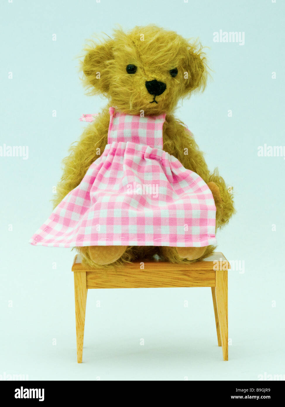 Miniature teddy bear sitting (Mini Bear Collection Stock Photo - Alamy