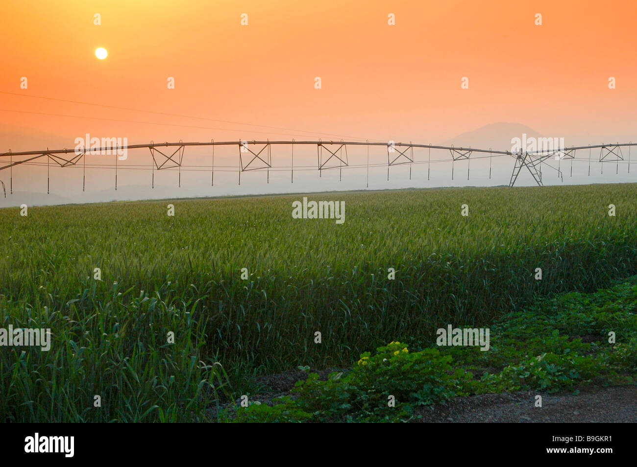Jordan valley farm hi-res stock photography and images - Alamy