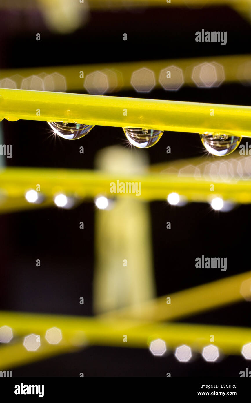 Close up of a yellow washing line with raindrops on it Stock Photo - Alamy