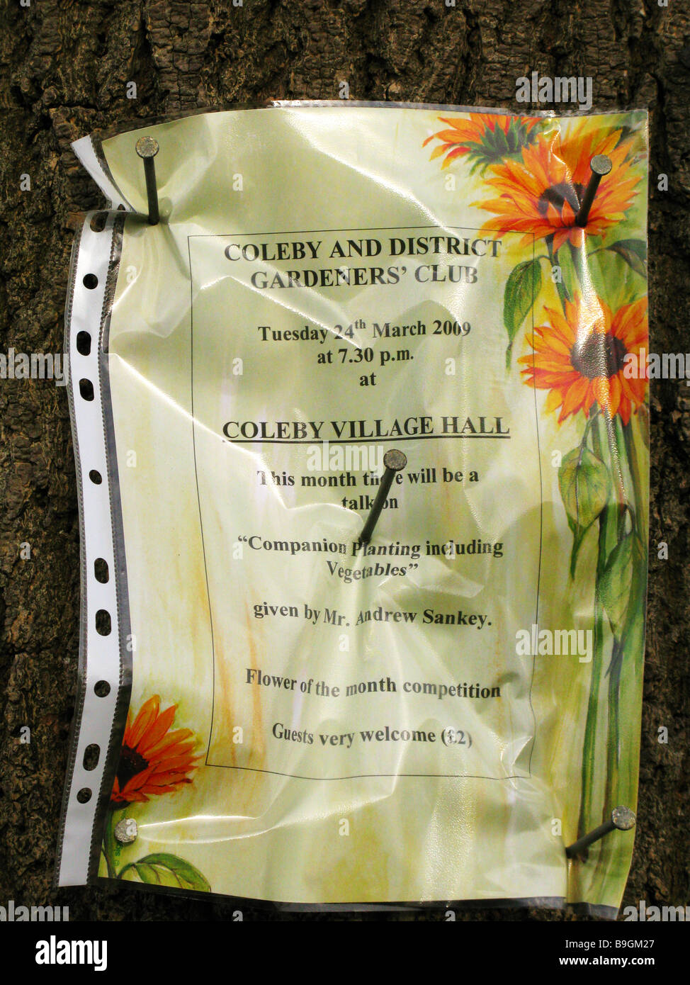 Poster nailed onto a tree hi-res stock photography and images - Alamy