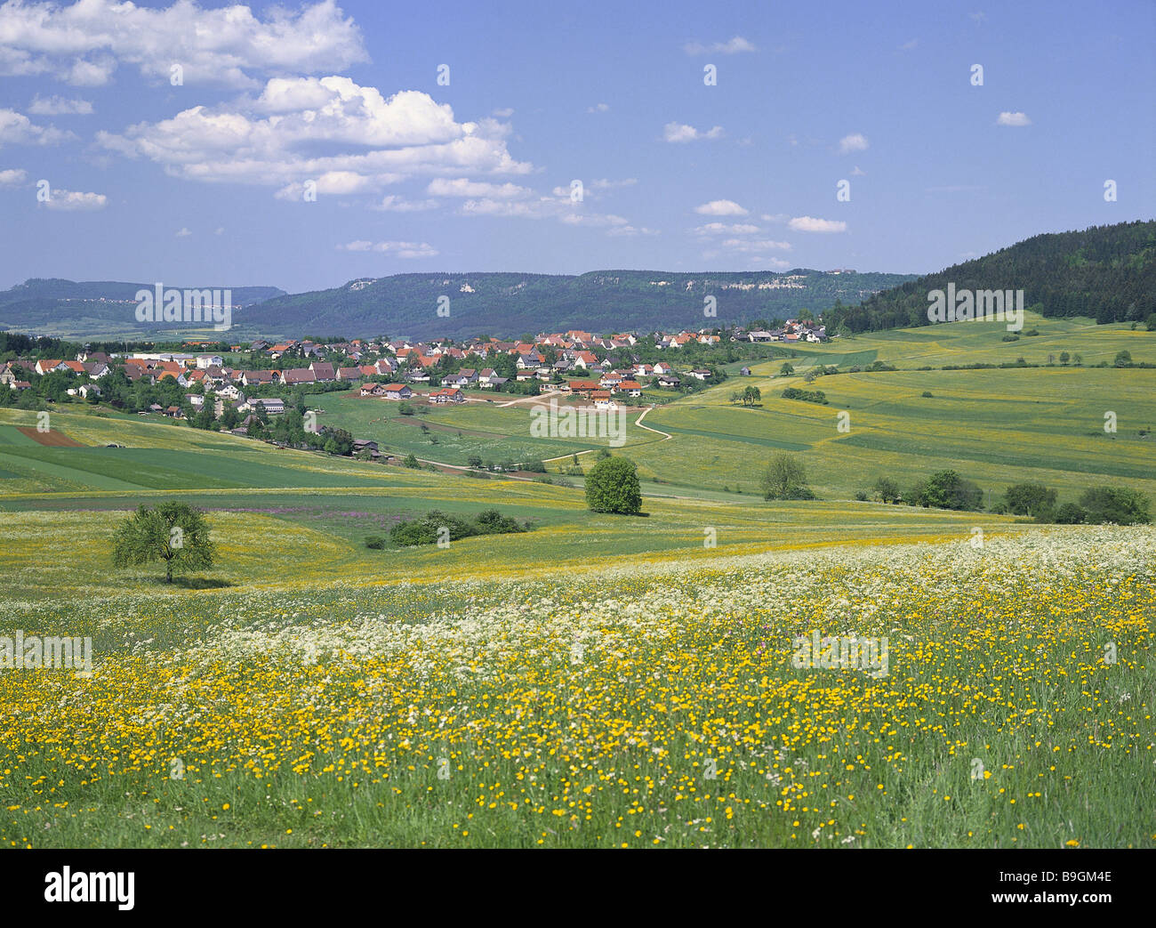 Baar landschaft hi-res stock photography and images - Alamy