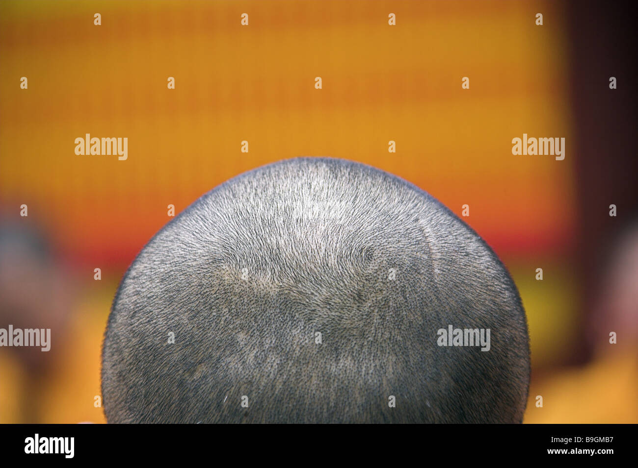 Monk back of the head bald close-up Adores broached Asia excerpt ...