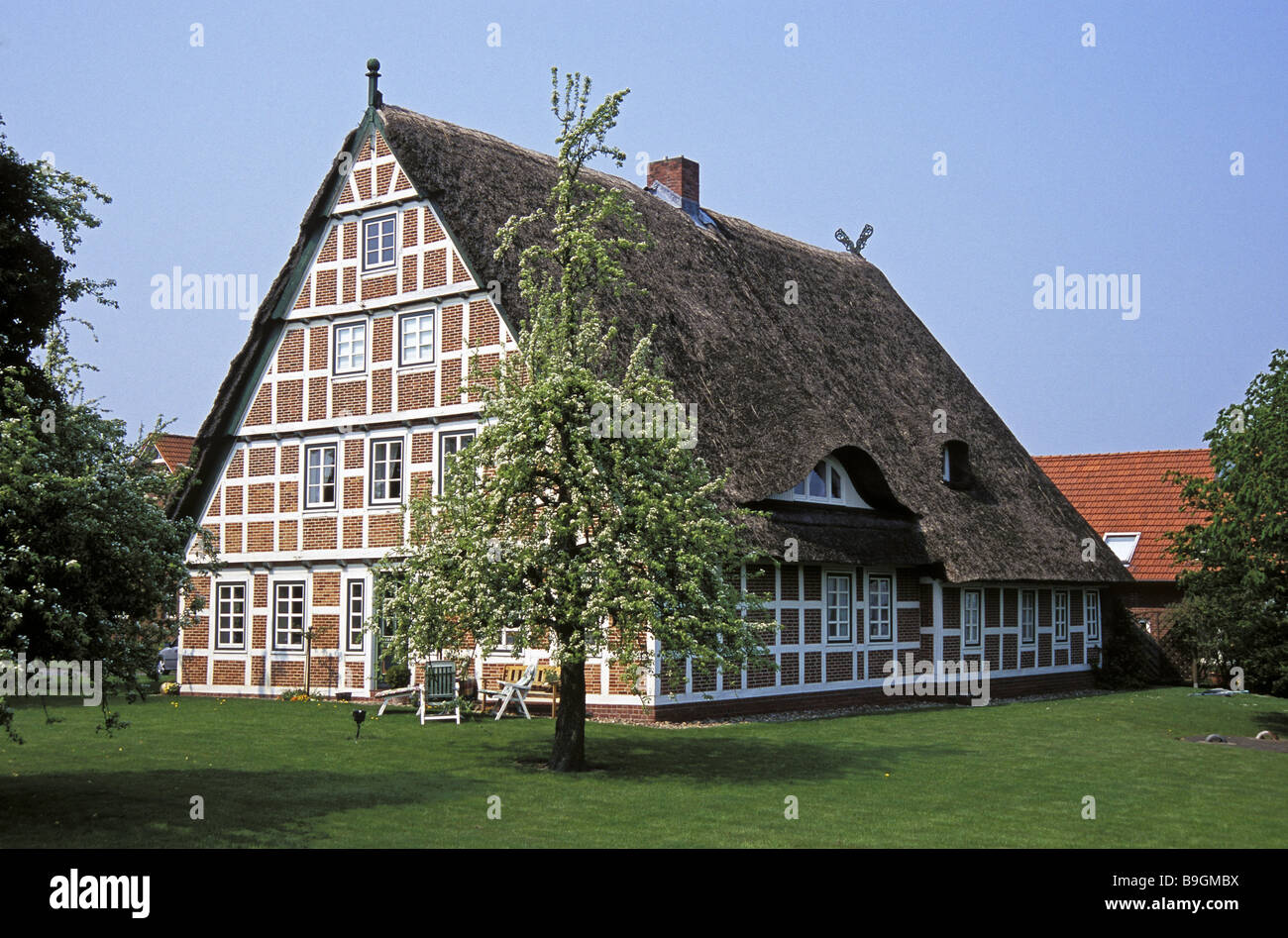 Germany Lower Saxony old land timbering-house northwest-Germany meadow ...