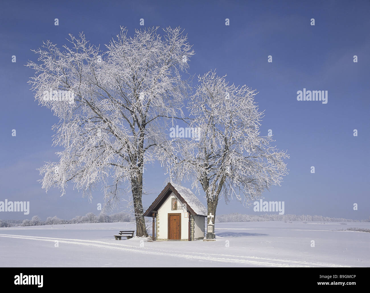 Prayer architecture Baden-württemberg bank trees Germany loneliness ...