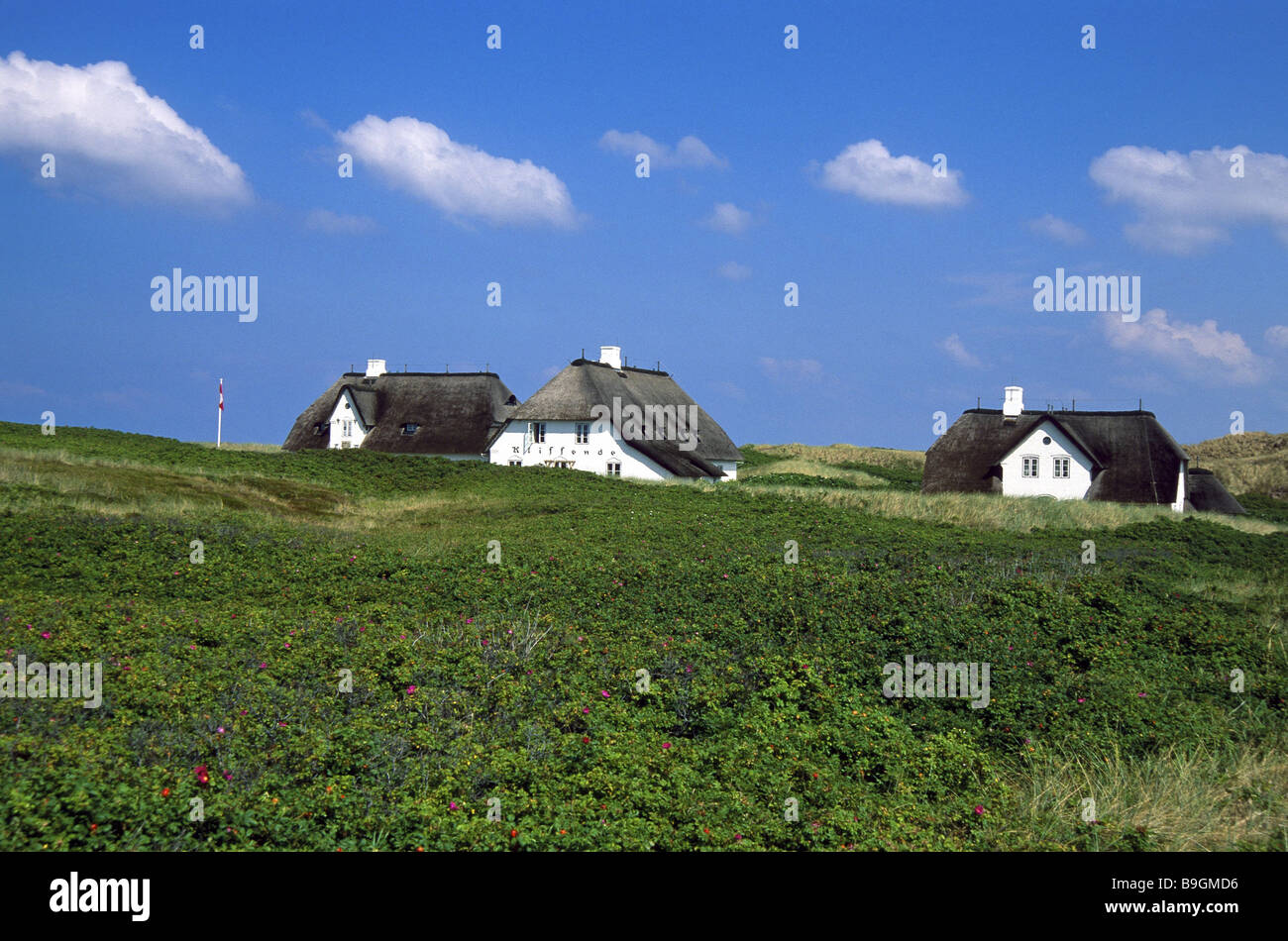 Thatched roof houses kampen sylt hi-res stock photography and images ...