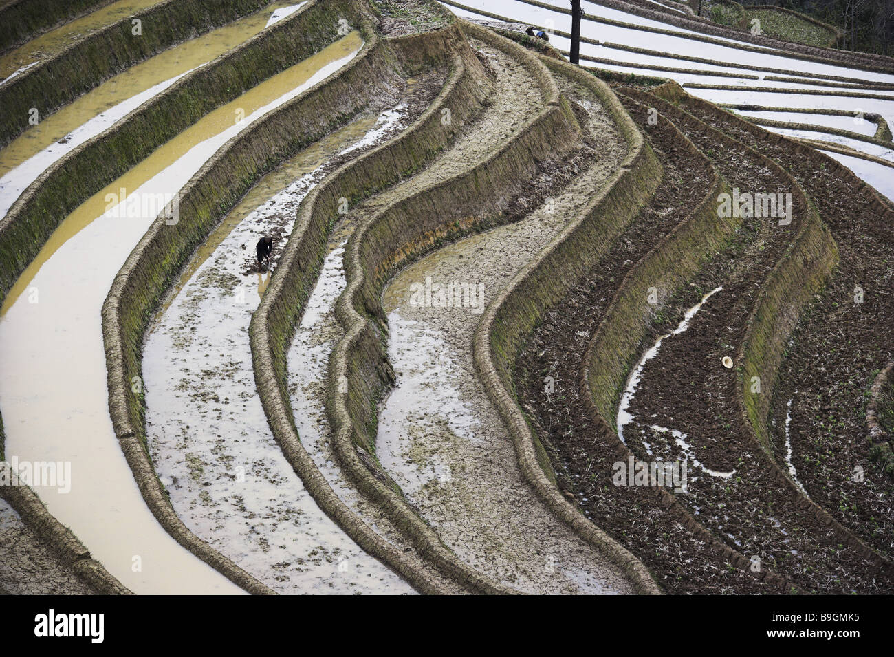 Asia China rice-terraces close-up Stock Photo - Alamy