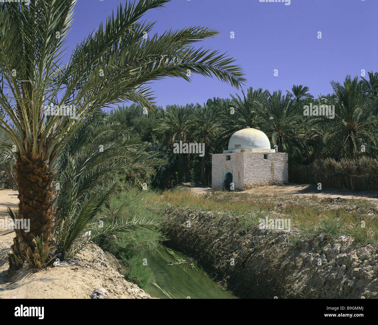 Bled el djerid hi-res stock photography and images - Alamy