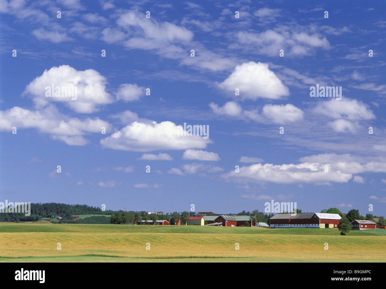 Norway Sor-Trondelag Melhus field-landscape farm clouded sky ...
