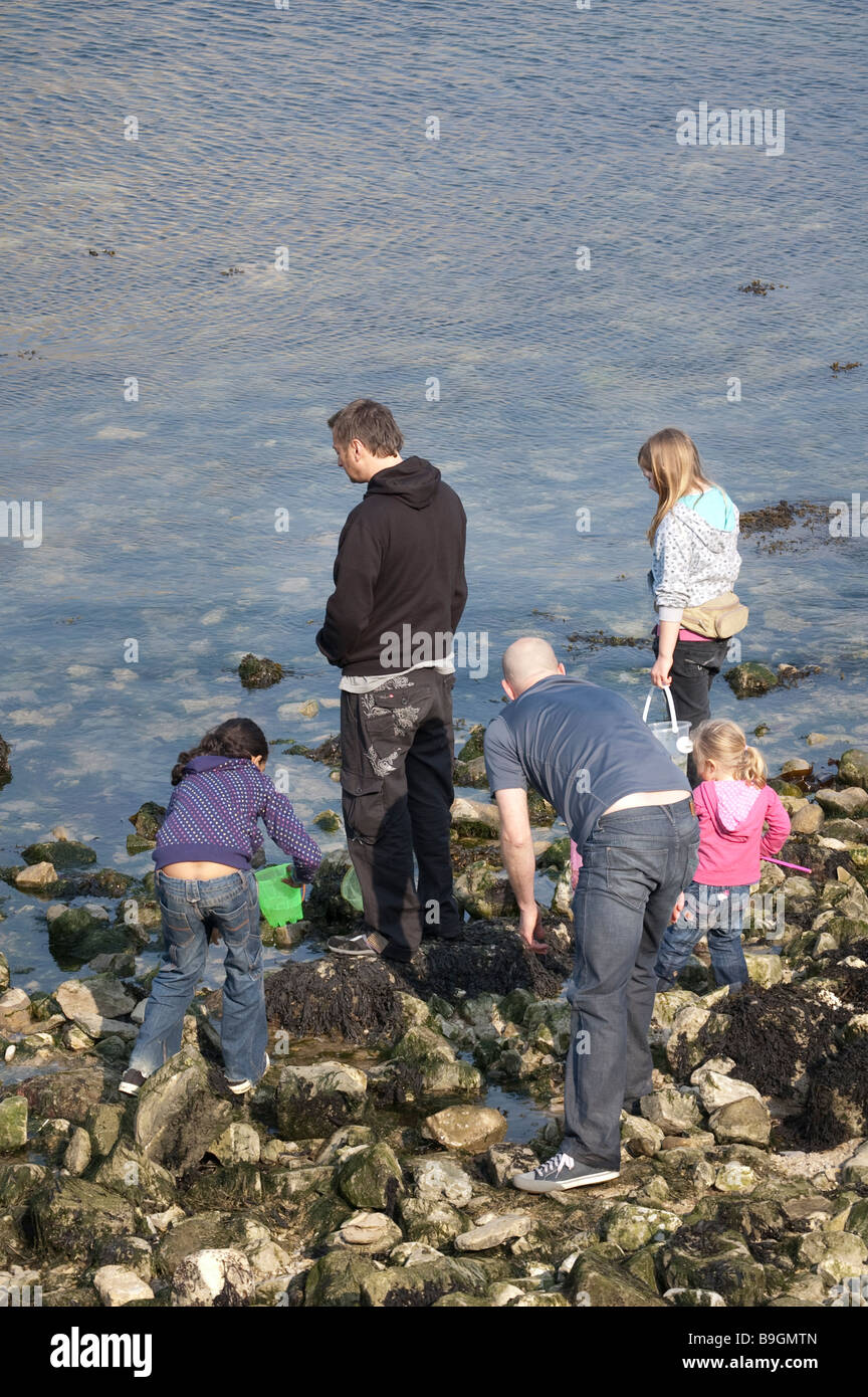 Family investigating rock pools at Lulworth Cove Stock Photo - Alamy