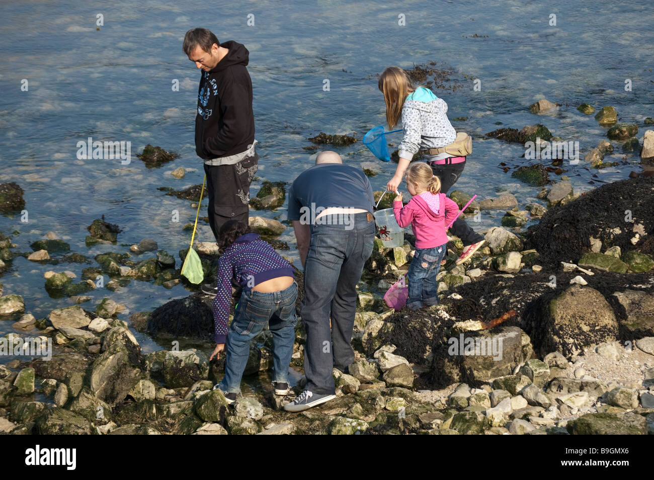Family investigating rock pools at Lulworth Cove Stock Photo - Alamy