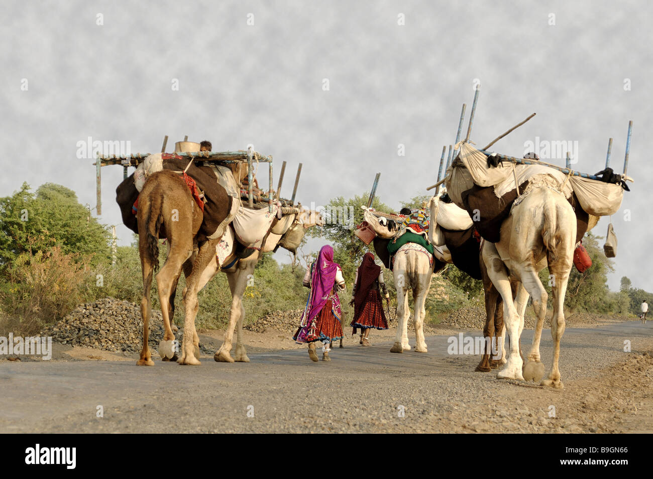 India Akola models camel back view no release Asia outside street ...