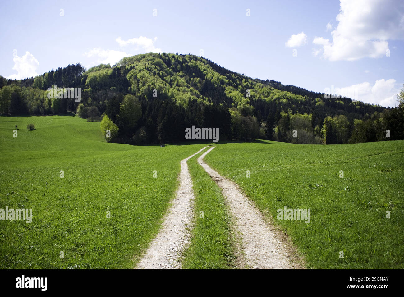 Hill-landscape fields railway line rise mixed forest landscape meadows ...
