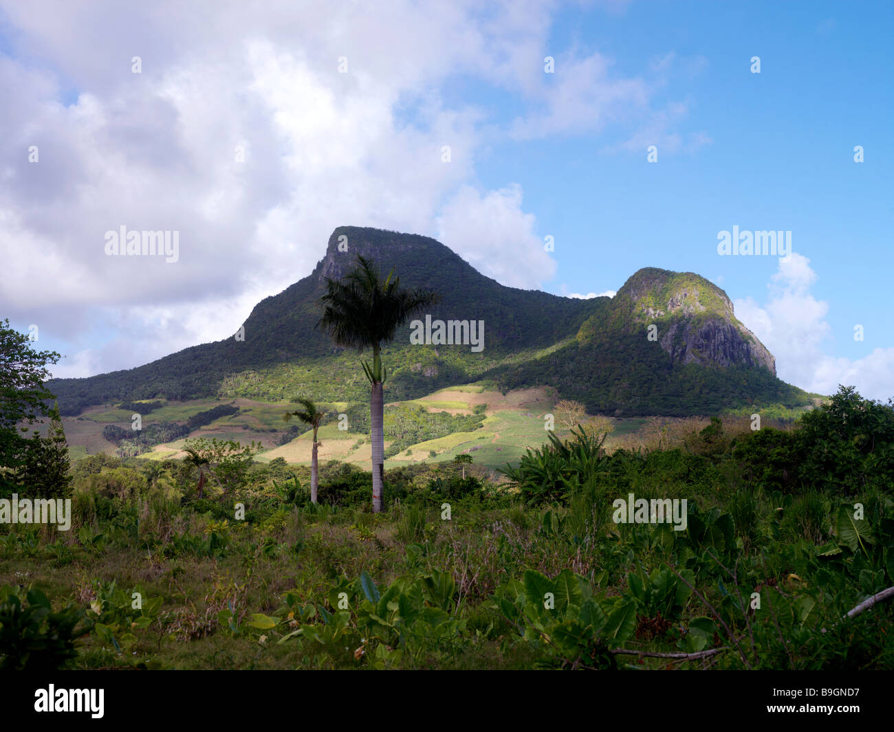 Mauritus hi-res stock photography and images - Alamy