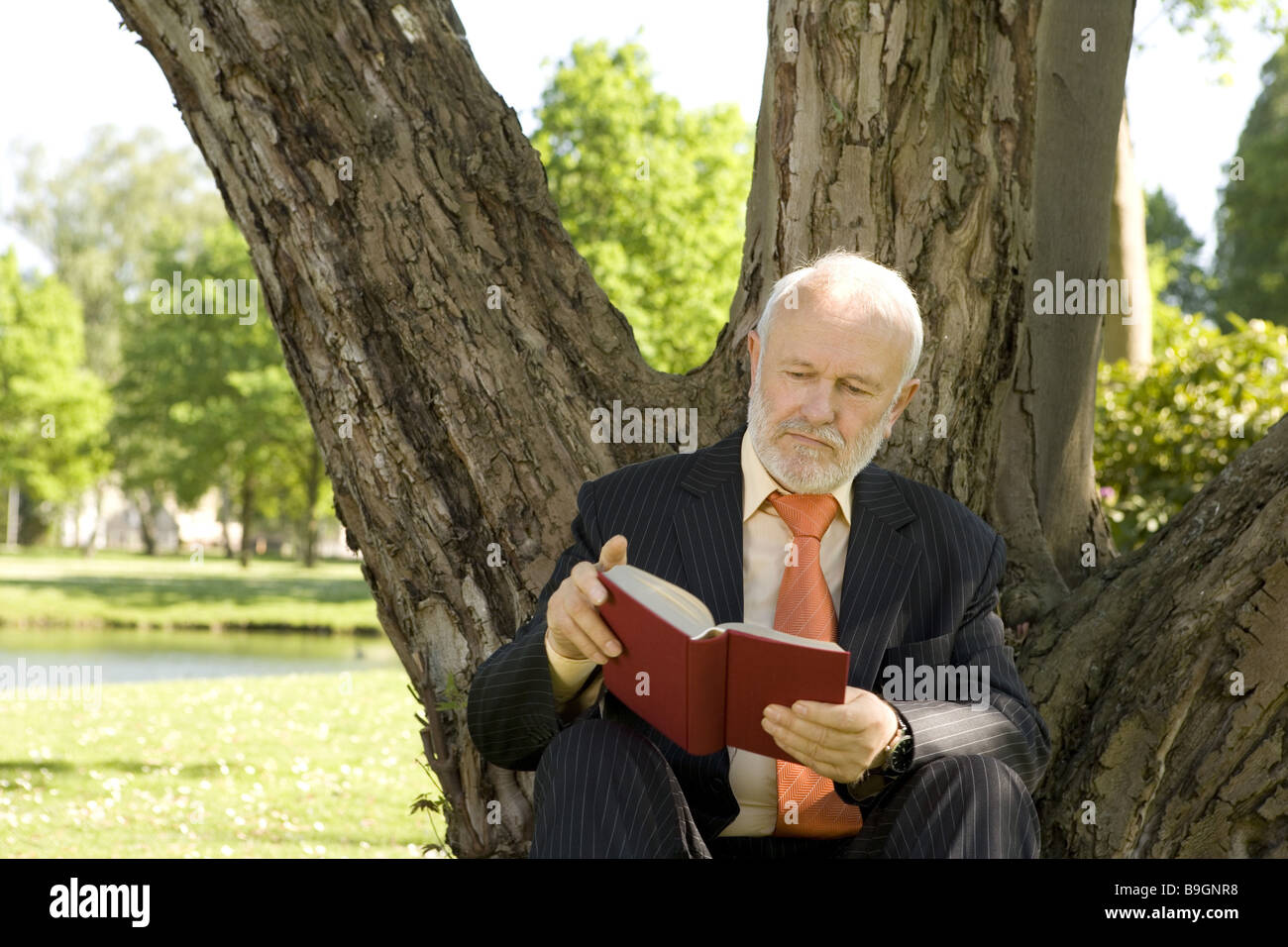 Park businessman book reading detail Stock Photo - Alamy