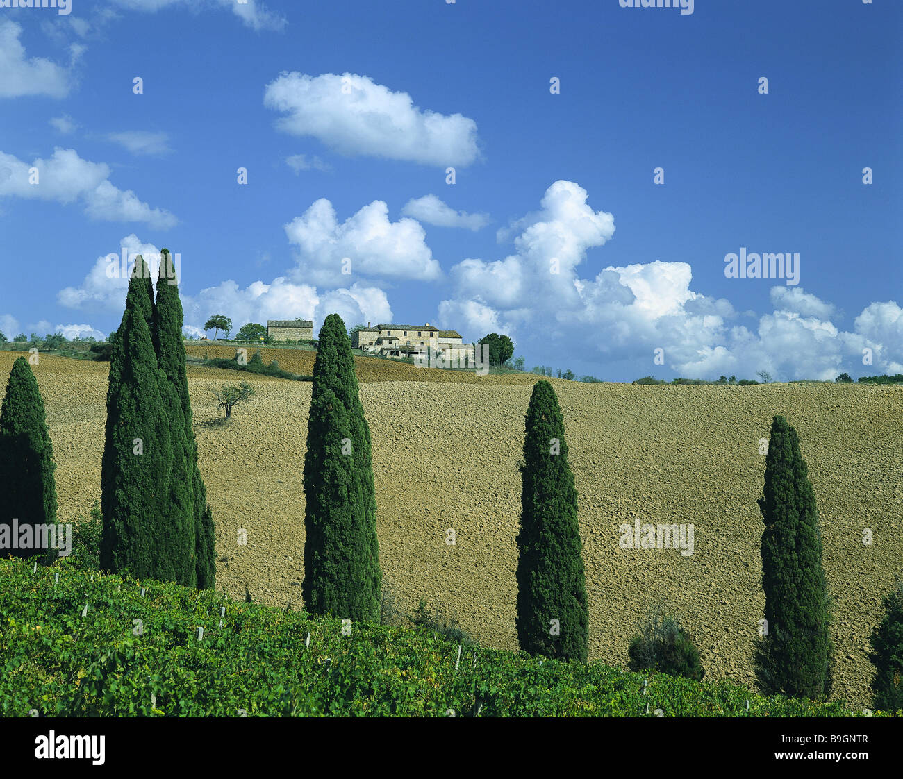 Italy Tuscany San Gimignano landscape residences hill-landscape Tuscany ...