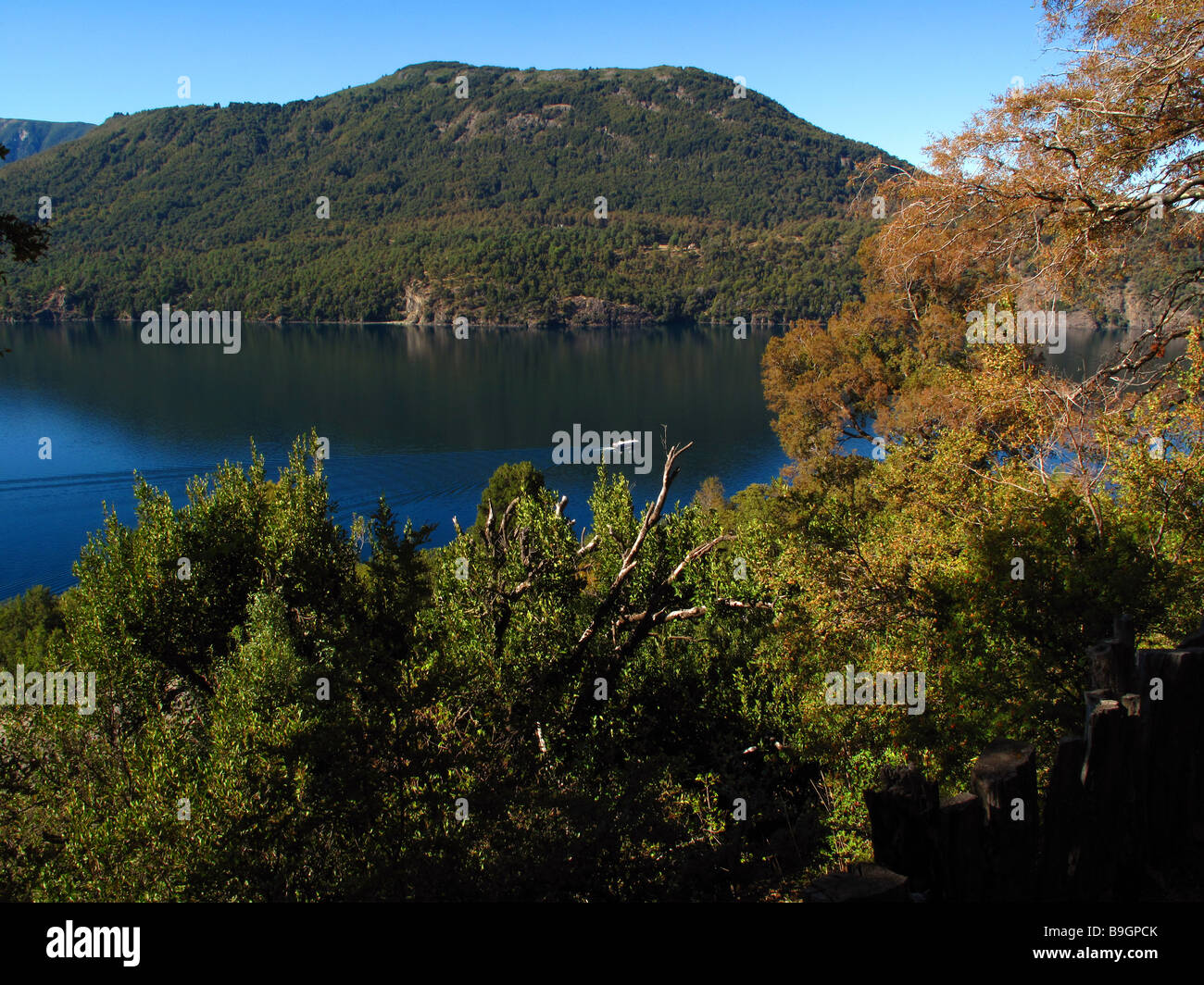 The natural landscape at the lake Lacar at the Lanin national park in ...