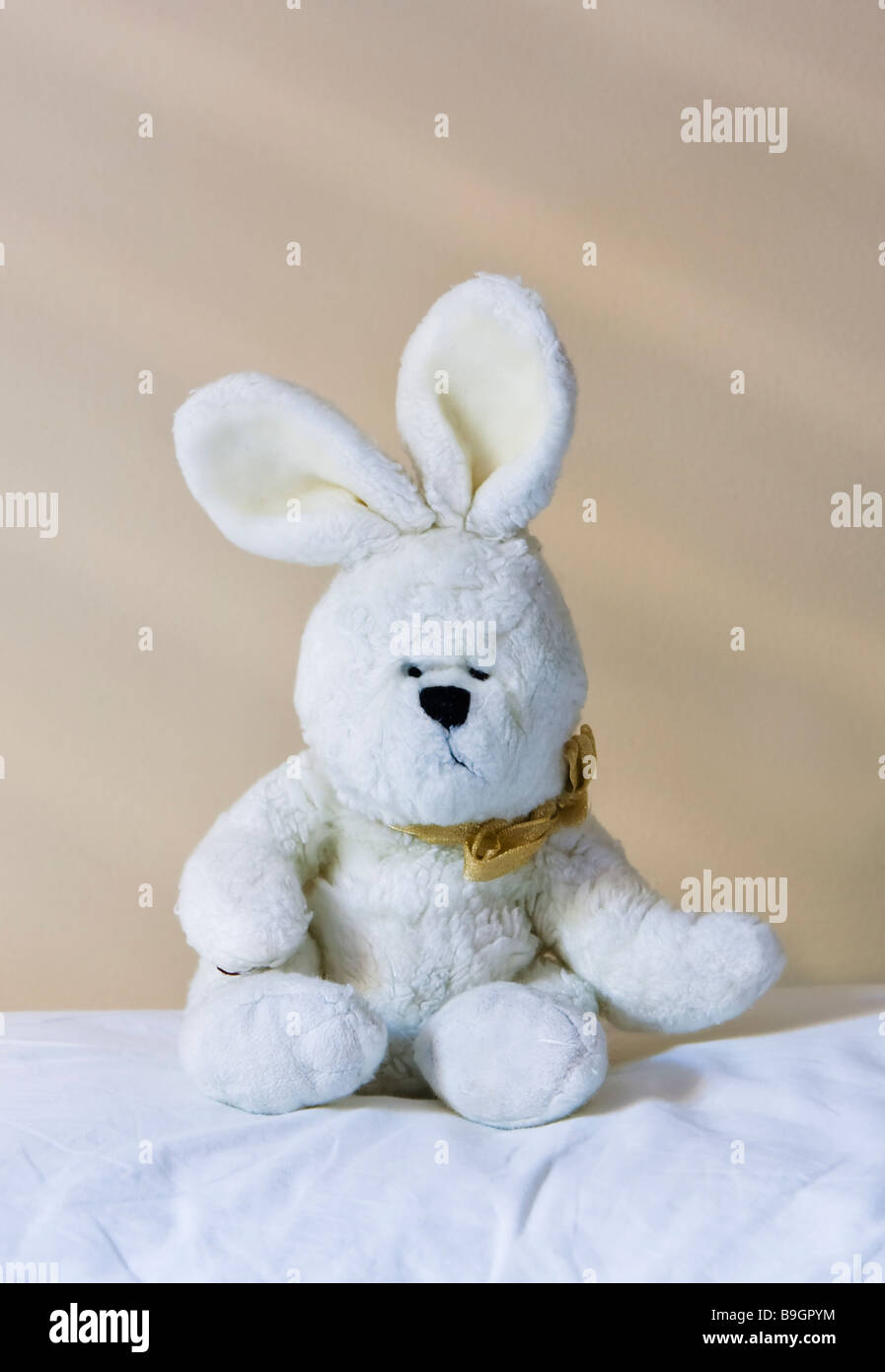A soft toy rabbit Stock Photo - Alamy