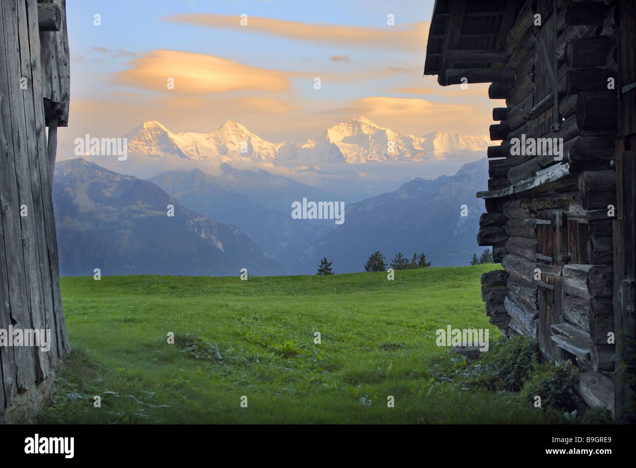 Switzerland Berner Oberland mountain-meadow wood-alps Eiger monk virgin dusk west-Alps Berner ...
