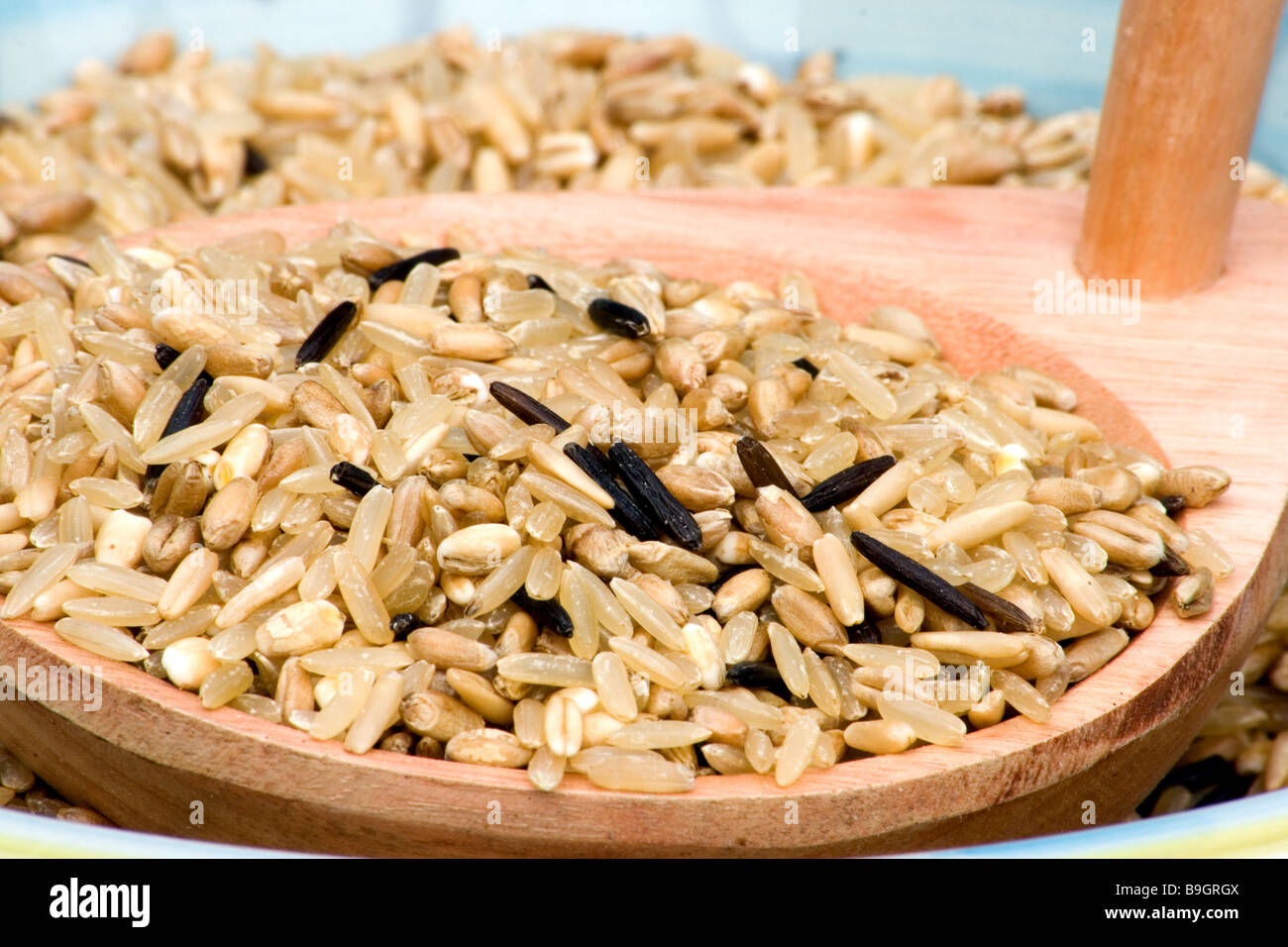 Wild rice on white background Stock Photo - Alamy