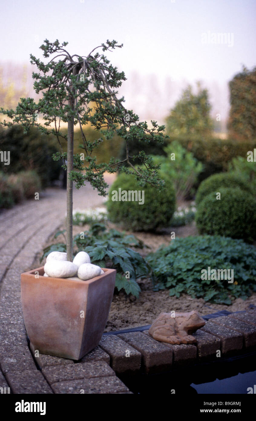 Backyard At Dusk Stock Photo - Alamy