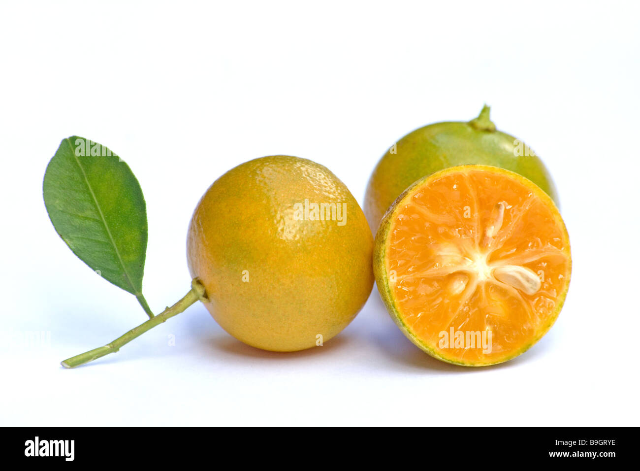 Healthy eating horizontal Cut Out Stock Images & Pictures - Alamy