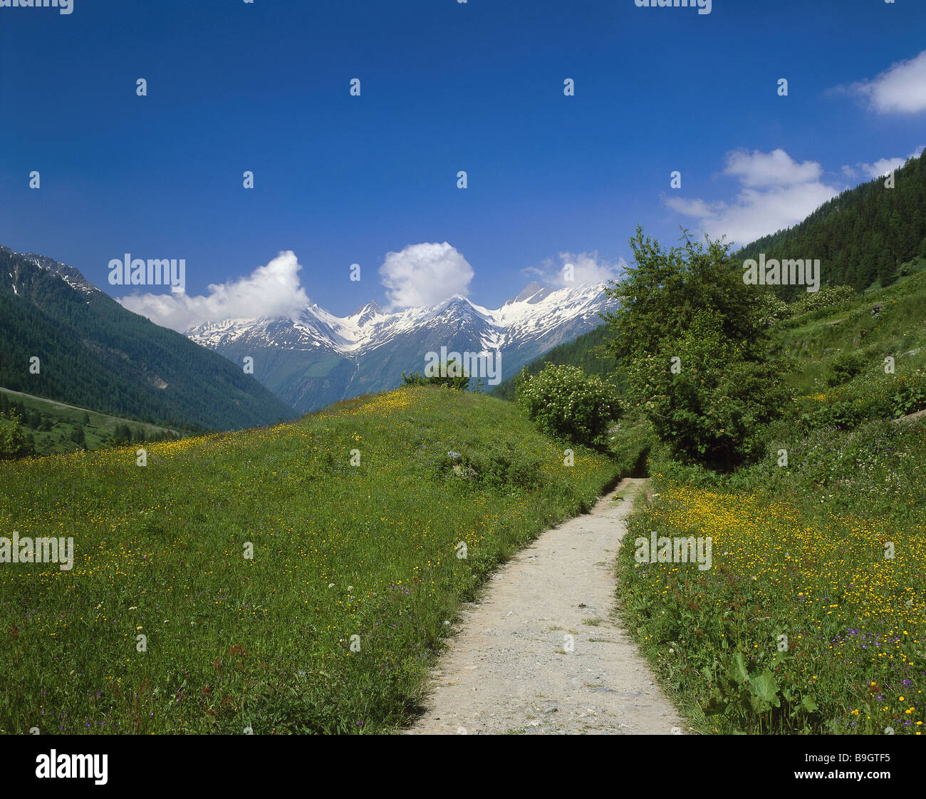 Switzerland Wallis Lötschen-Valley mountain scenery summer Oberwallis ...