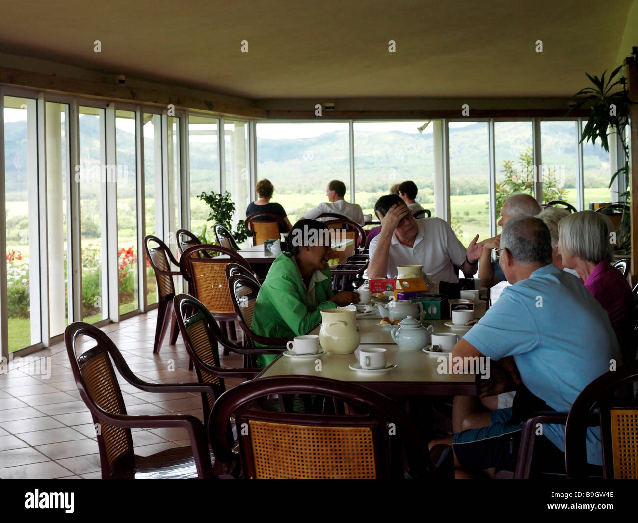 Visitors Tasting Tea at the Bois Cheri Tea Factory Mauritius Stock ...