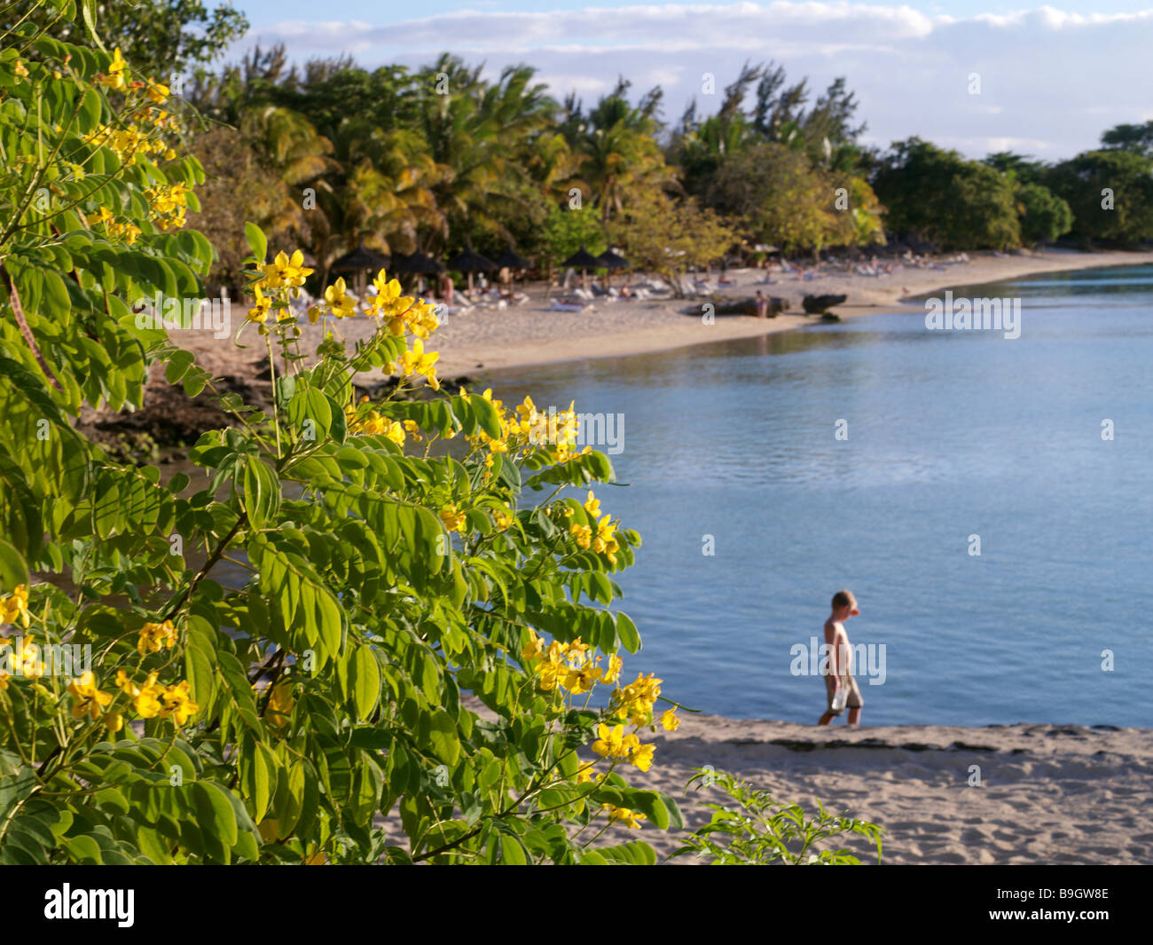 Balaclava mauritius hi-res stock photography and images - Alamy