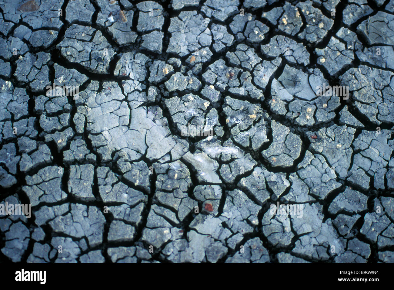 Dry, cracked earth during a drought Stock Photo - Alamy